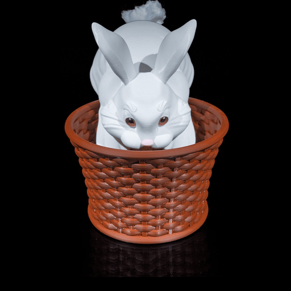 Peter Cottontail Rabbit Easter Basket | 3D Printer Model Files