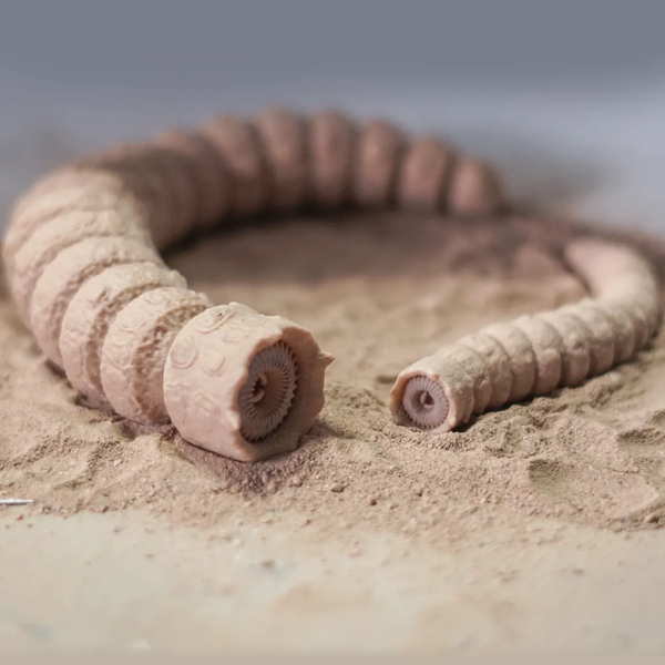 Dune Flexi Sandworm Articulated | 3D Printer Model Files