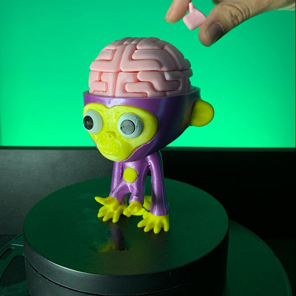 Monkey Brain Puzzle | 3D Printer Model Files | STL 3D Models File
