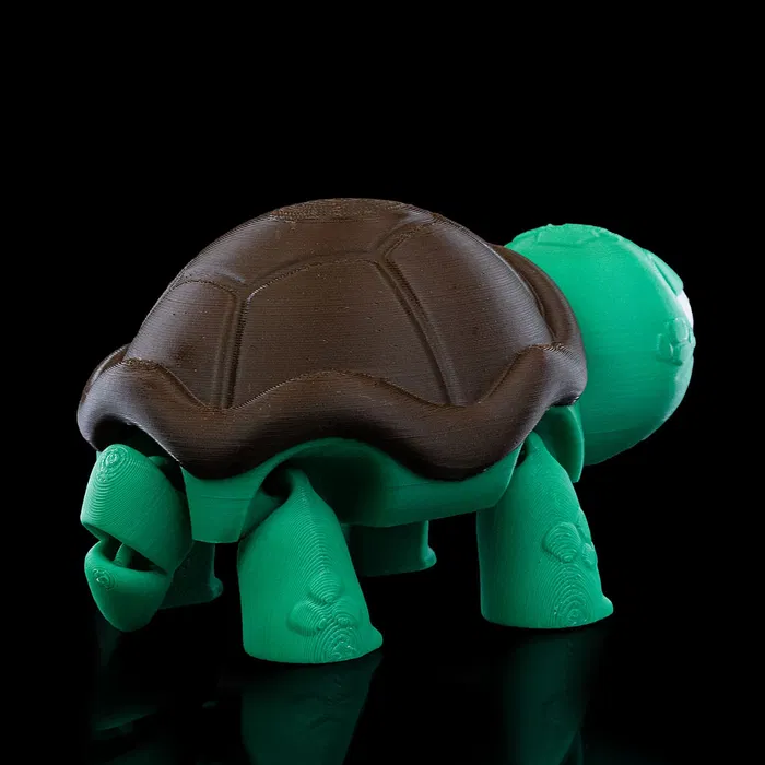 Surprised Turtle | 3D Printer Model Files