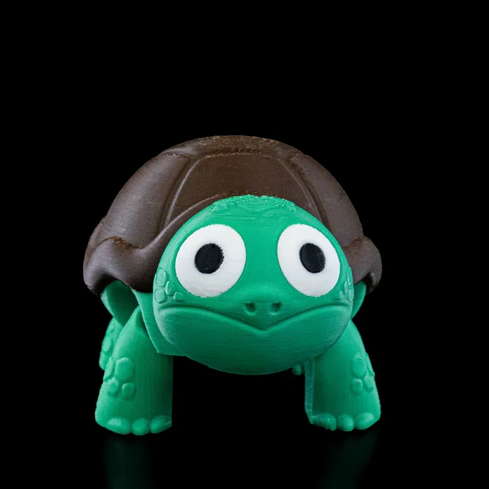 Surprised Turtle | 3D Printer Model Files